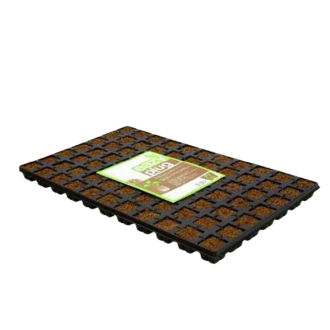 Easy Plug 77stk - Superseeds.dk