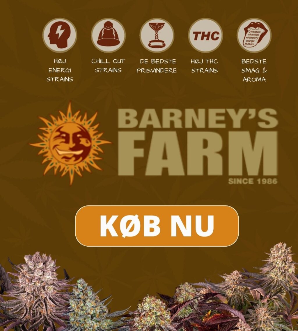 Cannabis frø og skunkfrø - Bredt udvalg af kvalitetsfrø