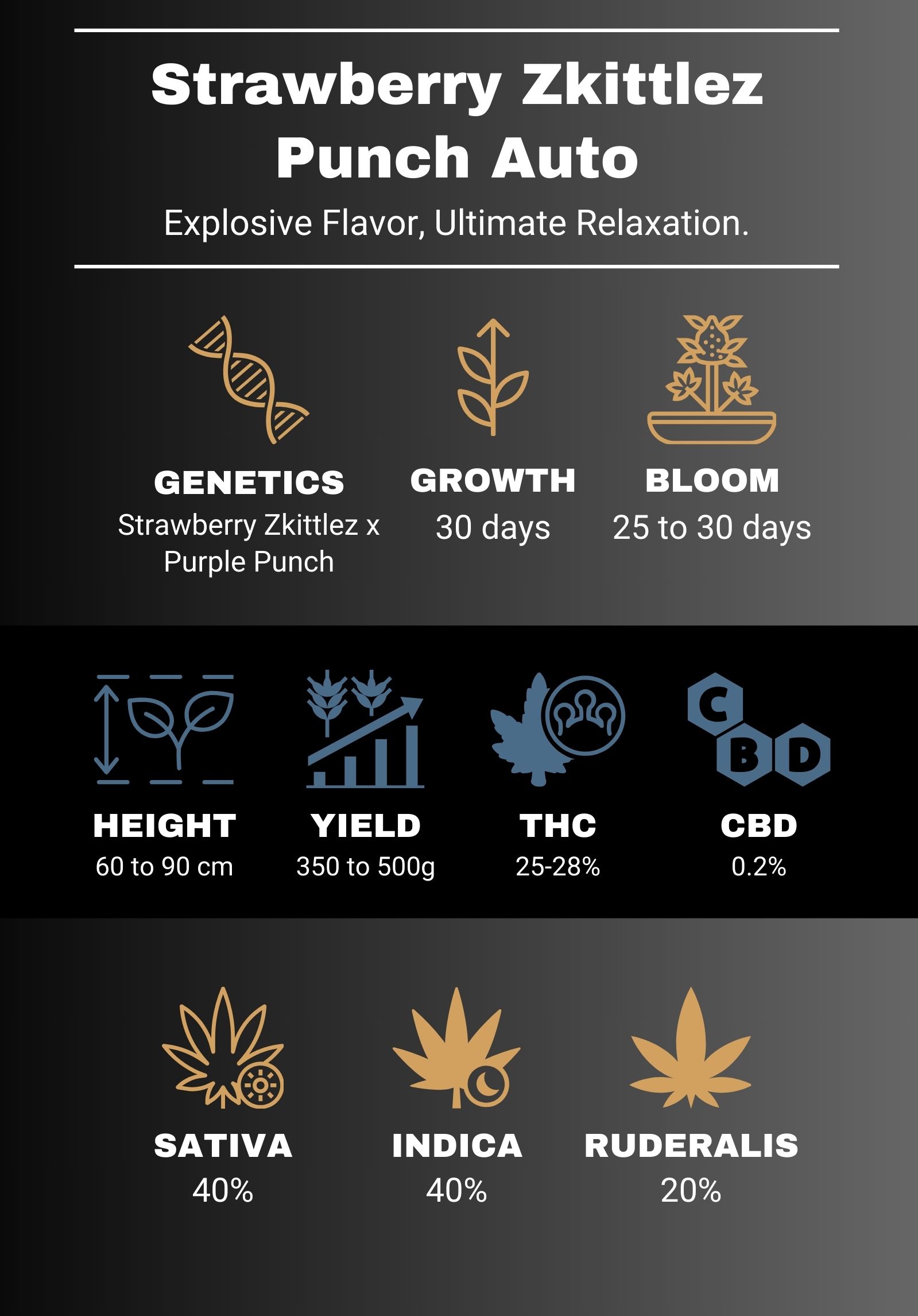 Strawberry Zkittlez Punch Auto – Super Seeds - Superseeds.dk