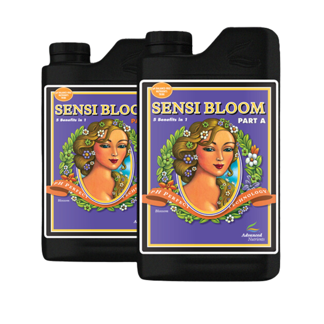 Sensi Bloom A&B - Superseeds.dk